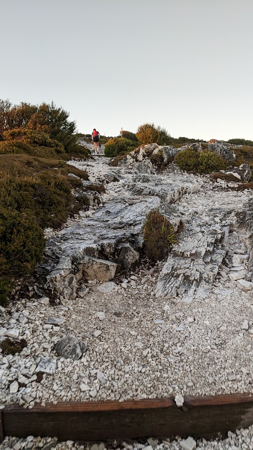 Guide to Trail Running the Overland Track - Trail Flow